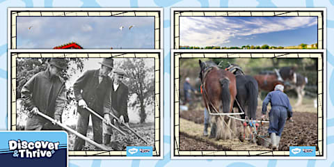 Comparing Farming in Ireland Then and Now Worksheet