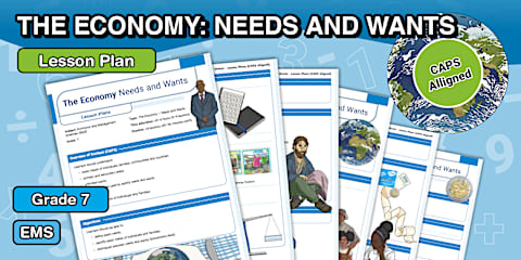Grade 7 - EMS - The Economy: Goods and Services - Lesson Plans (CAPS ...