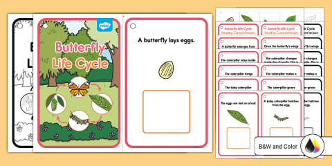 Early Childhood Butterfly Life Cycle Cut and Paste Worksheet