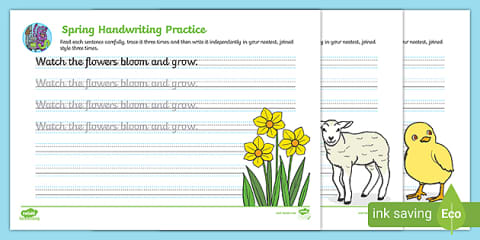 Phase 5 Sentence Handwriting Sheets