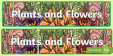 Flower Pattern Display Borders - plants, flower pot, A4, display ...