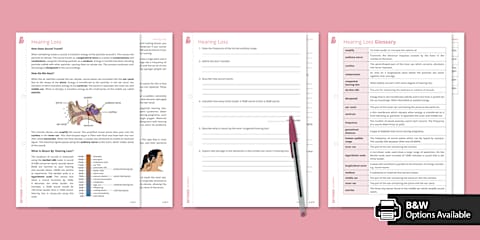 Ear Diagram and Labeling Worksheet