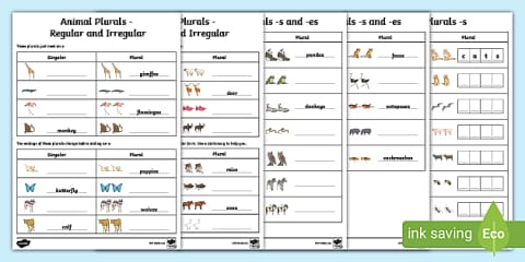 A Magical Muddle: Adding Suffixes -s and -es Activity Sheet