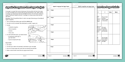 Research Aquatic Ecosystems Graphic Organizer and Writing Template for ...