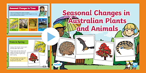 Australian Animals That Hibernate Photo Pack