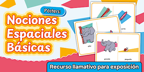 Actividad: Ordenar Alimentos por Tamaño