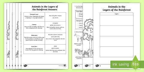 Animals in the Amazon Rainforest Cut and Paste Worksheet for K-2nd Grade