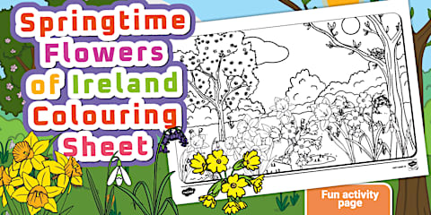 Numbers 1-5 Flower Pattern Tracing Activity