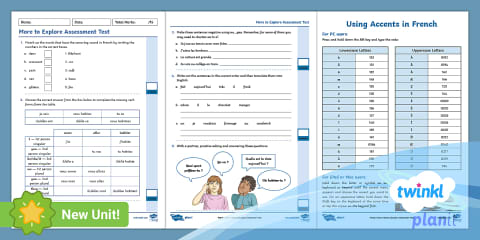 French: All Around Town: Year 4 Assessment Test