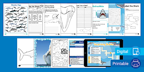 Describe the Shark Writing Worksheet for K-2nd Grade