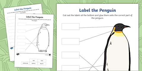 KS1 Emperor Penguin Reading Comprehension Worksheet