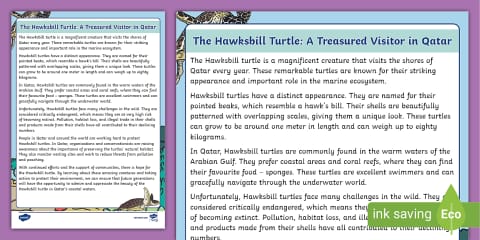 Hawksbill Turtle Worksheet