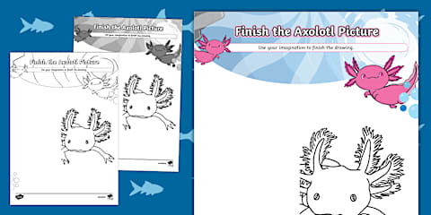 Label the Axolotl Differentiated Cut and Paste Worksheet for K-2nd Grade