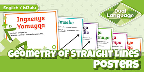 Grade 7 Maths - Term 1 - Naming Straight Lines in Geometry Activity ...