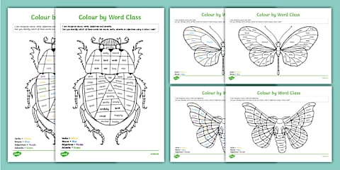 ESL Word Classes Colouring Activity Sheet [Kids, A1-A2]