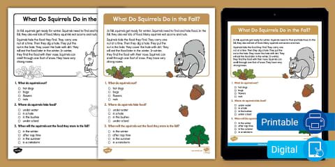 First Grade The Sun Reading Passage Comprehension Worksheet