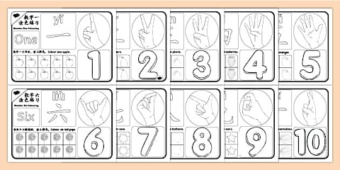 Chinese Number Flashcards(0-10) - English/Mandarin Chinese/Pinyin