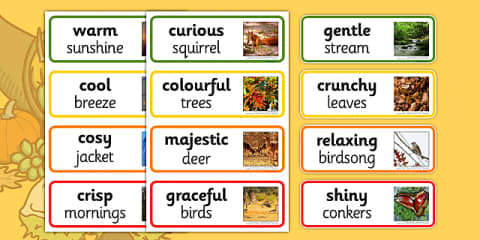 Spring Adjectives Word Cards