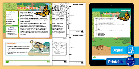 Migrating Animals Fact File Template