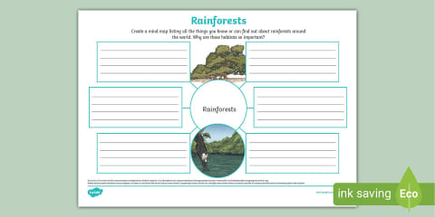 Daintree Rainforest Scavenger Hunt Riddles