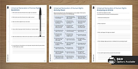 Grade 9 History The Universal Declaration of Human Rights Summary and ...
