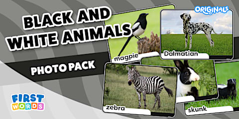 Originals First Words Matching Cards: Pond Life