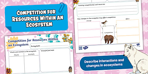 Ecosystem Interdependence: Food Webs and Symbiosis Group Project
