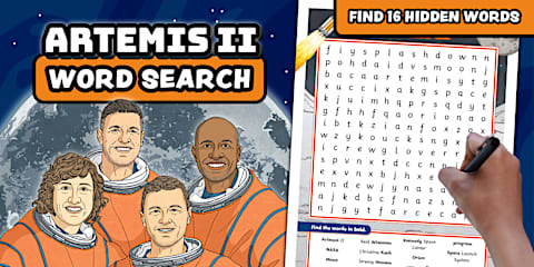 LKS2 World Migratory Bird Day Reading Comprehension