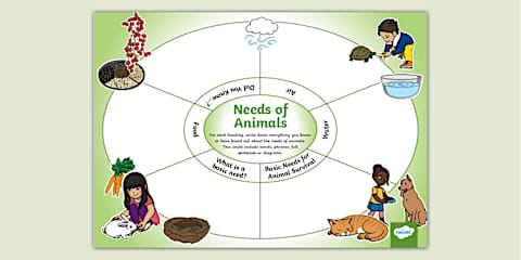 Basic Needs of Plants and Animals Comparison Mind Map