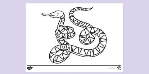 The Rainbow Serpent Role Play Cut-Outs