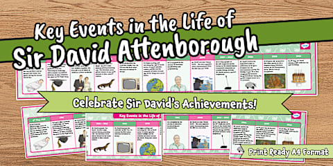 KS2 Celebrating 100 Years of Sir David Attenborough Doodle Colouring