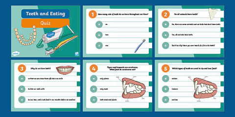 Label the Teeth Cut and Paste Worksheet for 3rd-5th Grade