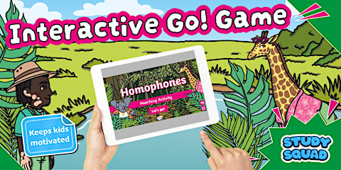 Homophones Interactive Matching Activity
