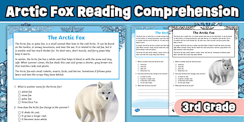 Extreme Weather: Hurricane 60-Second Reading Passage and Comprehension ...