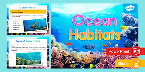 Ocean Animals Read Trace Write Draw Worksheet | Twinkl USA