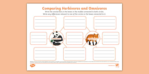 Carnivore, Herbivore or Omnivore Investigation Worksheet