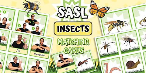 Foundation Phase - SASL- Road Safety - Vocabulary Signs - Matching ...