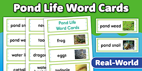 Pond Animals and Their Young Matching Cards