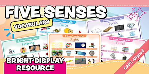 Preschool: May Workbook - My 5 Senses