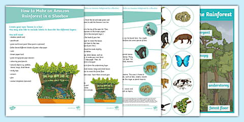 Rainforest Animals Diorama Craft