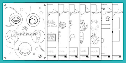 Preschool: May Workbook - My 5 Senses