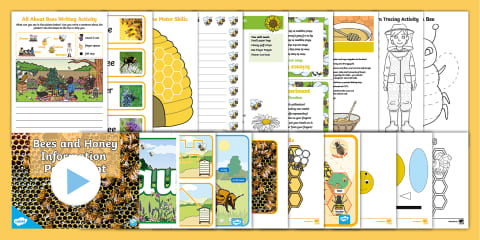 Grade 3 Life Skills Term 2 Label a Honeybee (CAPS Aligned)