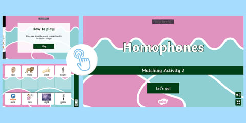 Homophones Interactive Matching Activity