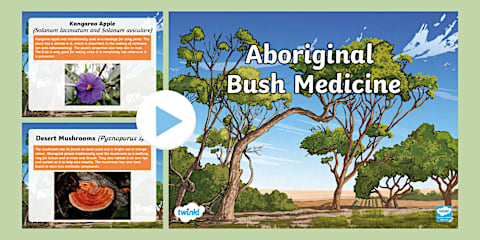 Australian Bush Tucker Plants Poster