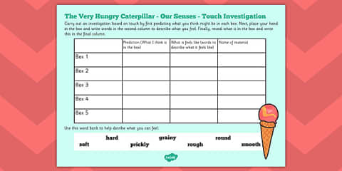 Sense of Smell Investigation Worksheet