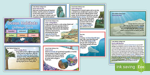 All About Ocean Habitats Circles Booklet