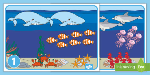 Maths Under the Sea Counting Treasure Hunt Activity