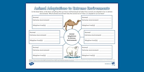 Polar Regions Animal Adaptations Activity Sheet
