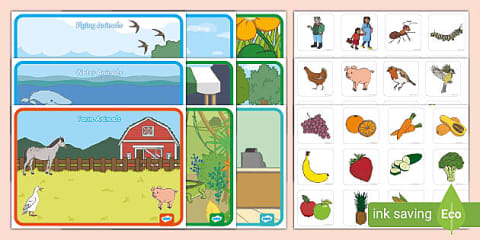 Divergent and Convergent Naming | Matching Activity