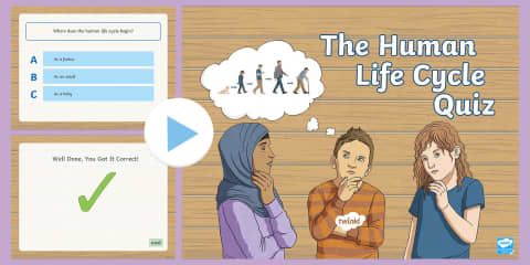 Human Folding Life Stages Template